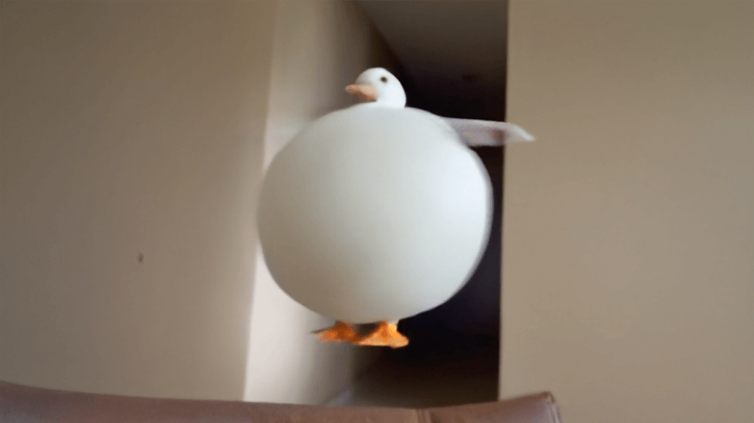 Free AI Balloon Deflating Effect, Realistic Animation, Dreamlux